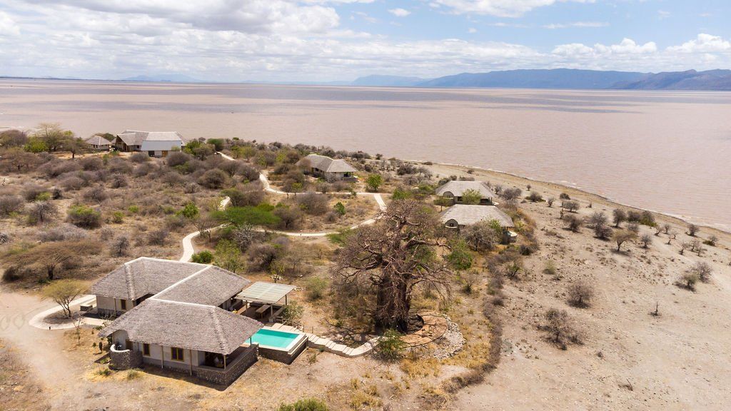 Manyara's Secret - DaneSafari
